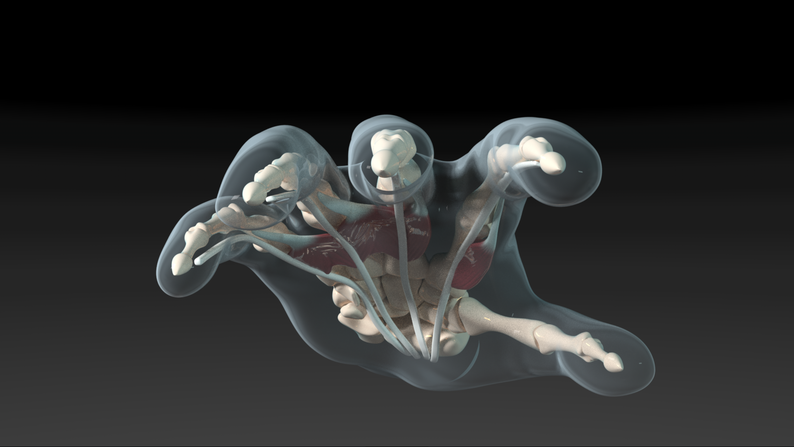 UE | Applications – Hand and upper extremity education